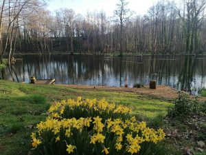 Sandford Pool Trout Fishery – Lydney, Gloucestershire